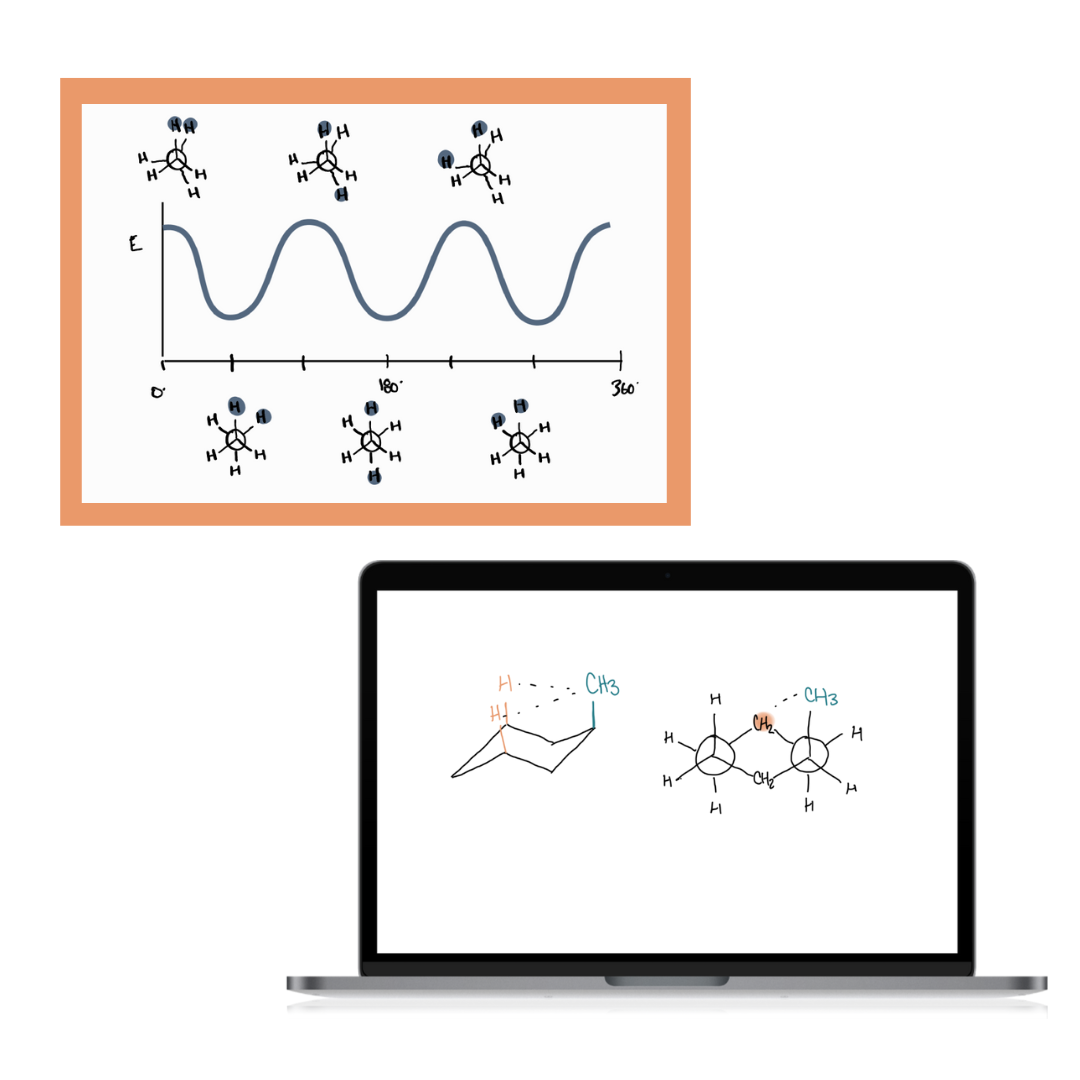 Conformational Analysis